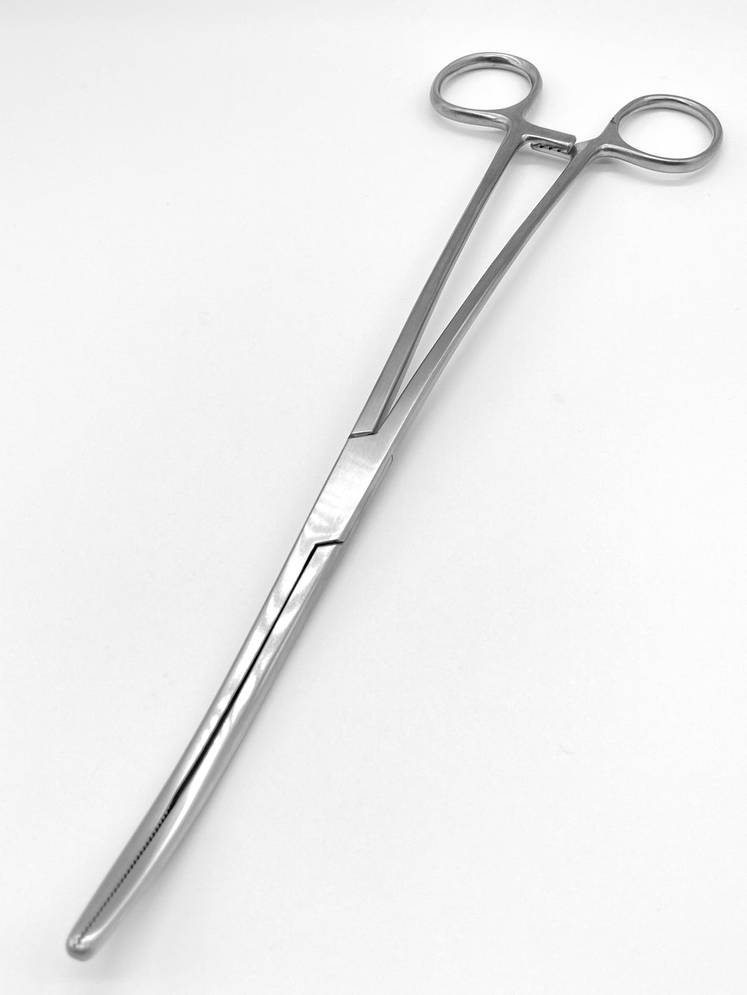 Bozeman Forceps Curved 26cm - Viva Surgical Medical Instruments